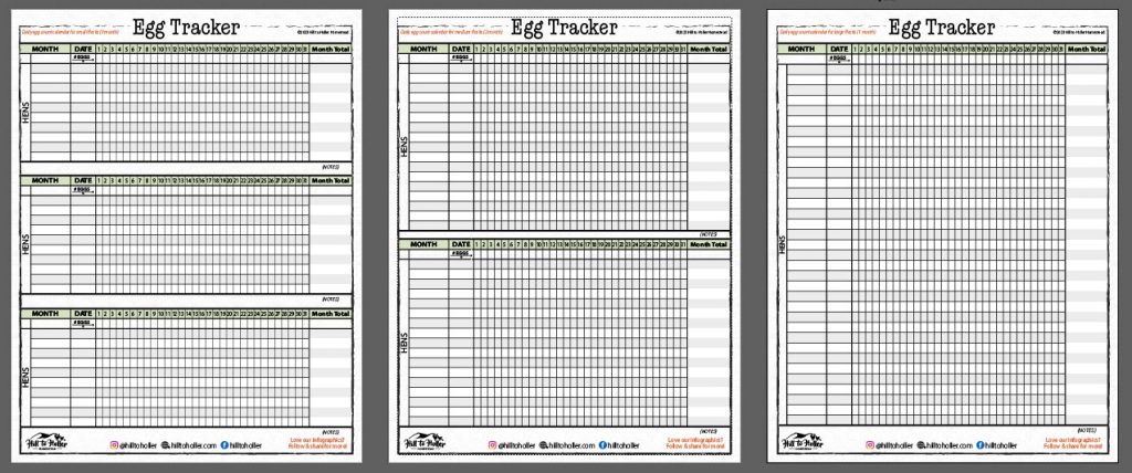 Egg Tracking Calendar - Hill to Holler Homestead